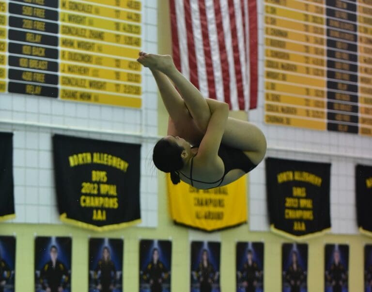 Tigers Finish WPIAL Slate with Senior Night Sweep of North Hills ...